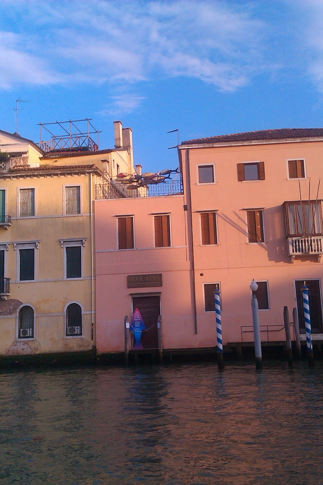 Puiul fara pene si pestele cu paru-n vant