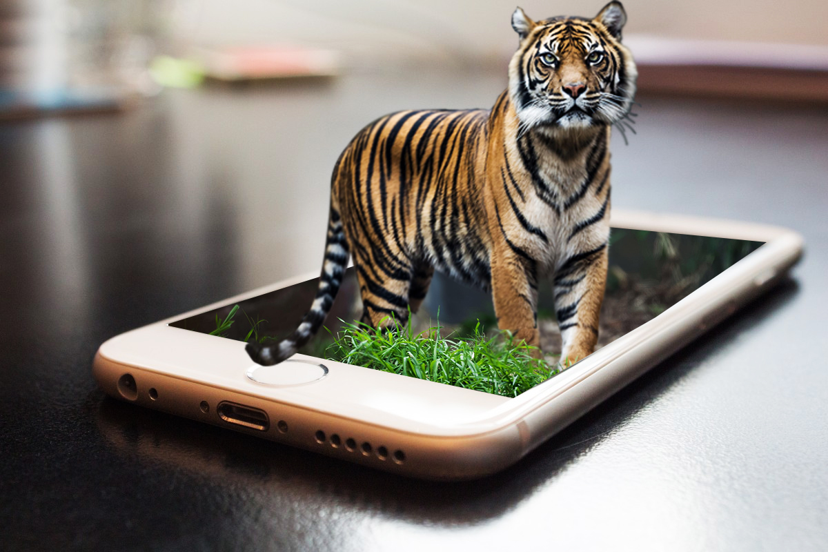 GRAPHIC DESIGN: Tiger on Phone Photo manipulation
