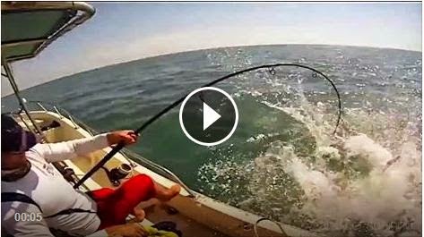 Real pleasure in fishing -h&fishing
