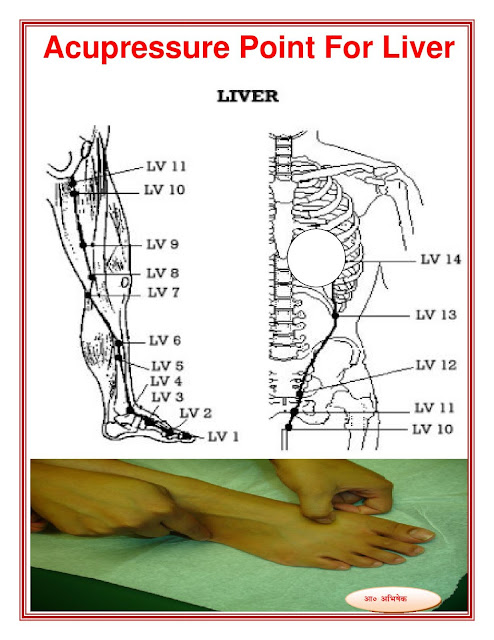 यकृत (लिवर) के लिए एक्यूप्रेशर बिंदु (Acupressure Points For Liver ...