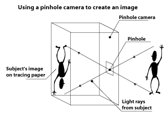 At First Sight: The year-long pinhole.