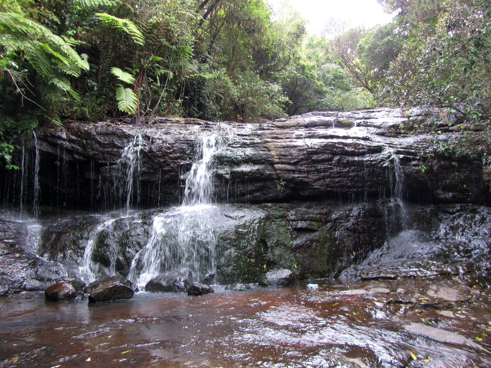 Tamilnadu Tourism: Pambar Falls (Liril or Vatakanal), Kodaikanal