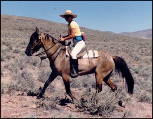Windhorse Chronicles: My "Soul mate" Montana, a Spanish Barb Mustang