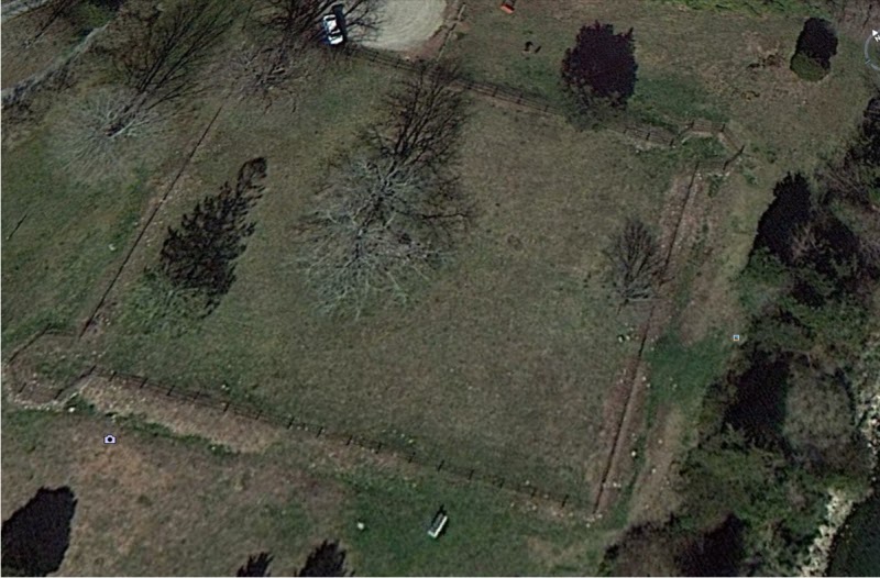 tropicalia: "pioneiros Portugueses e a Pedra de Dighton"