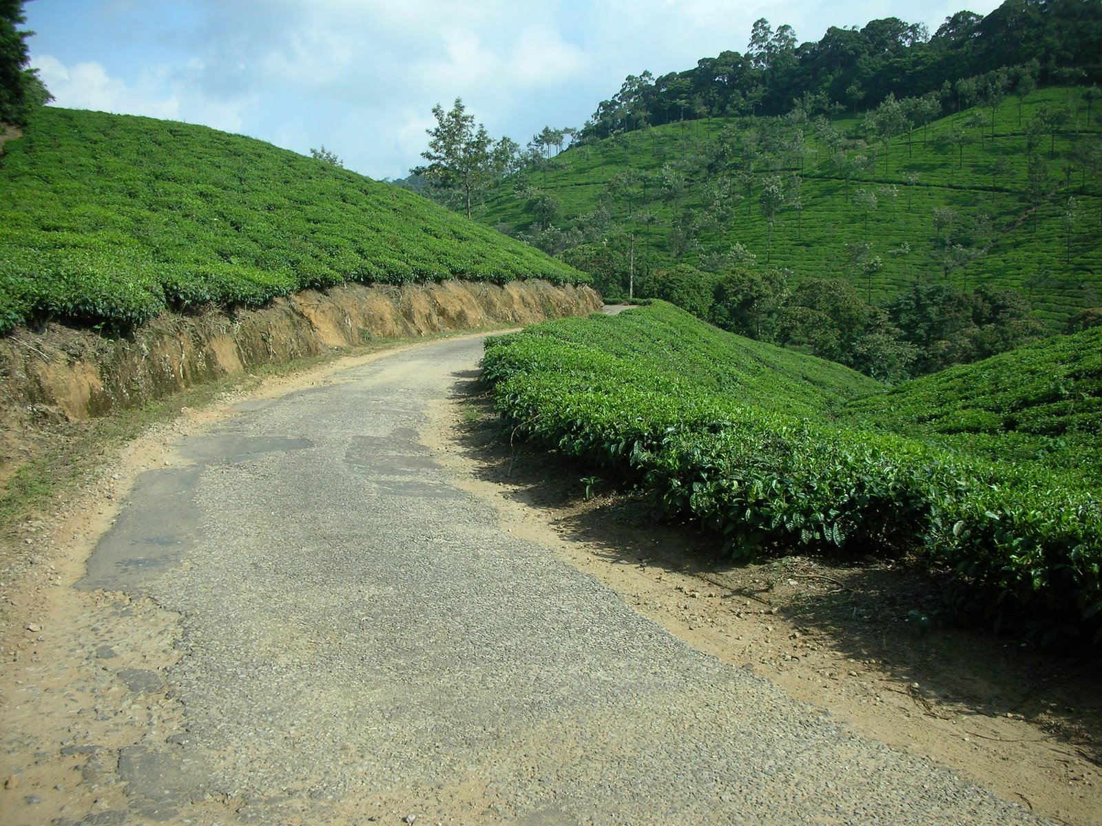 Tamilnadu Tourism: Manjolai Hills, Thirunelveli