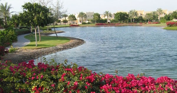 Importance of Lake / pond Restoration