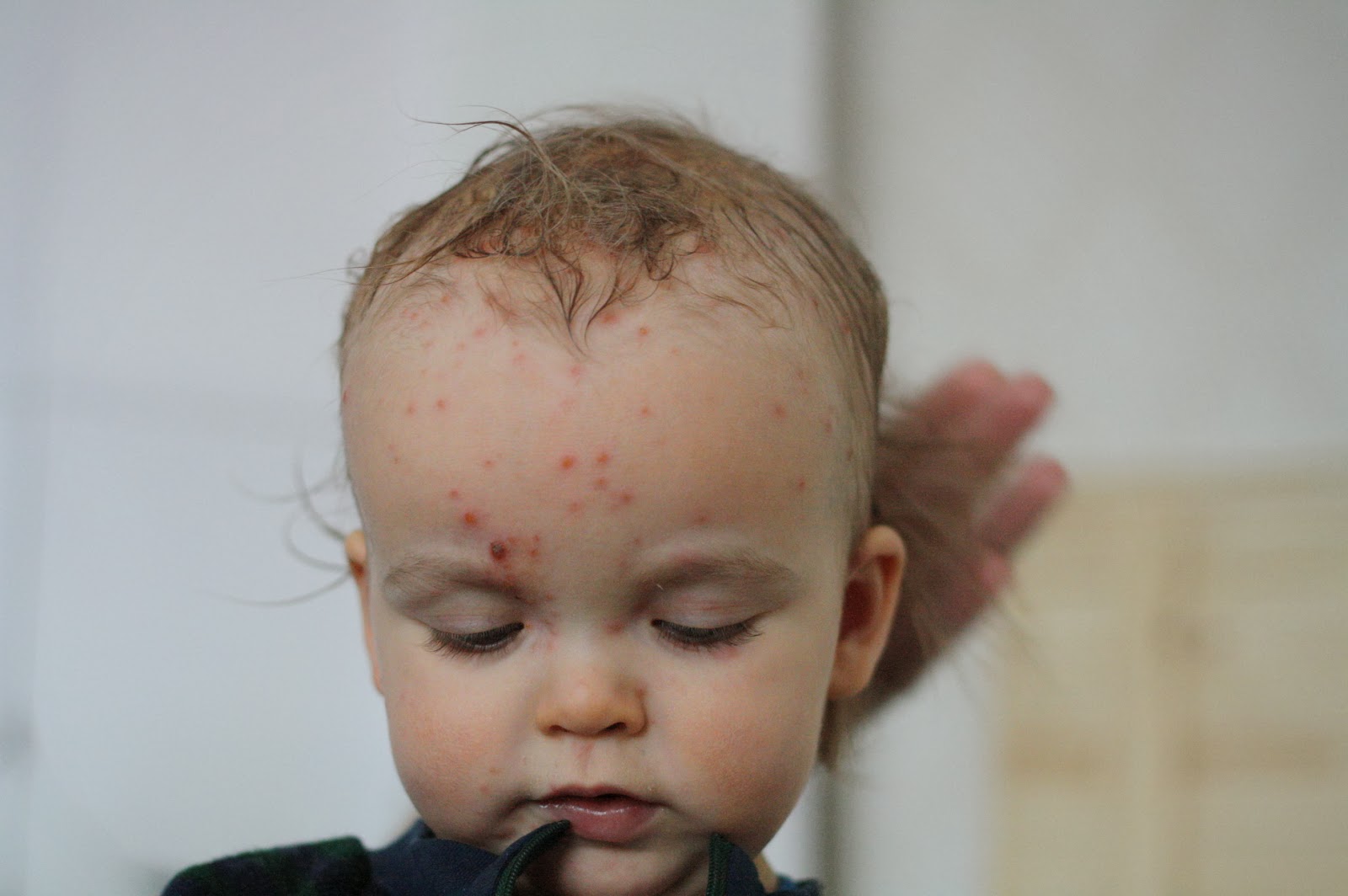 Onnistain on puolet sinun: Vesirokko