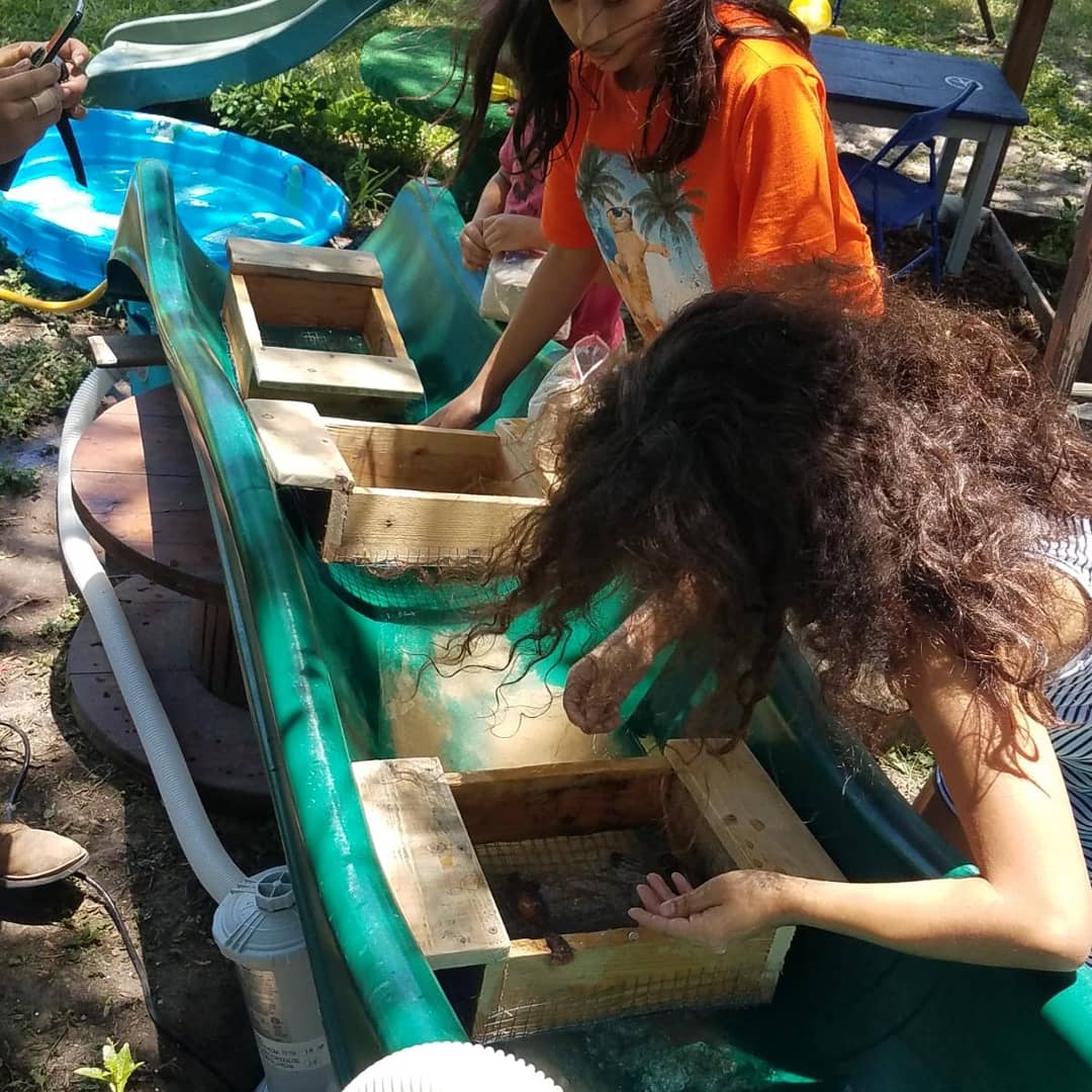 DIY GEM Mining at Home