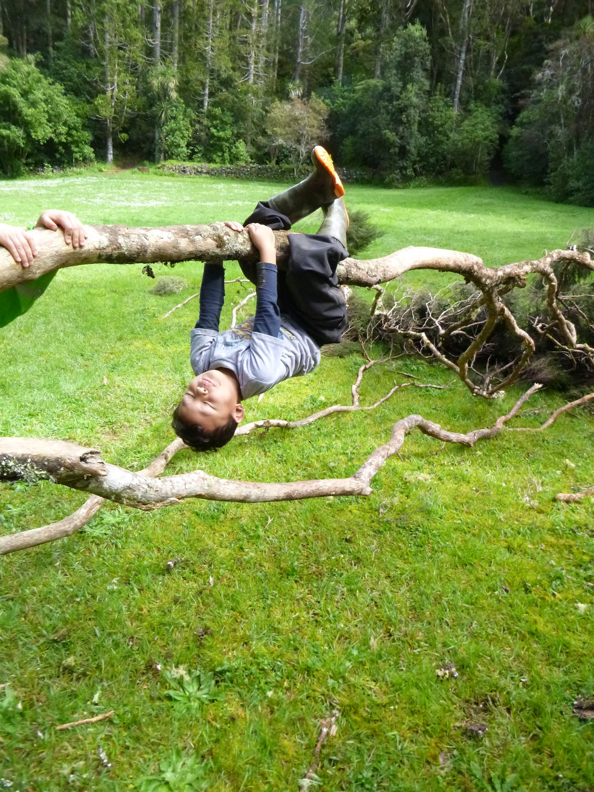 Mairtown Kindergarten: What a surprise discovery on the nature programme