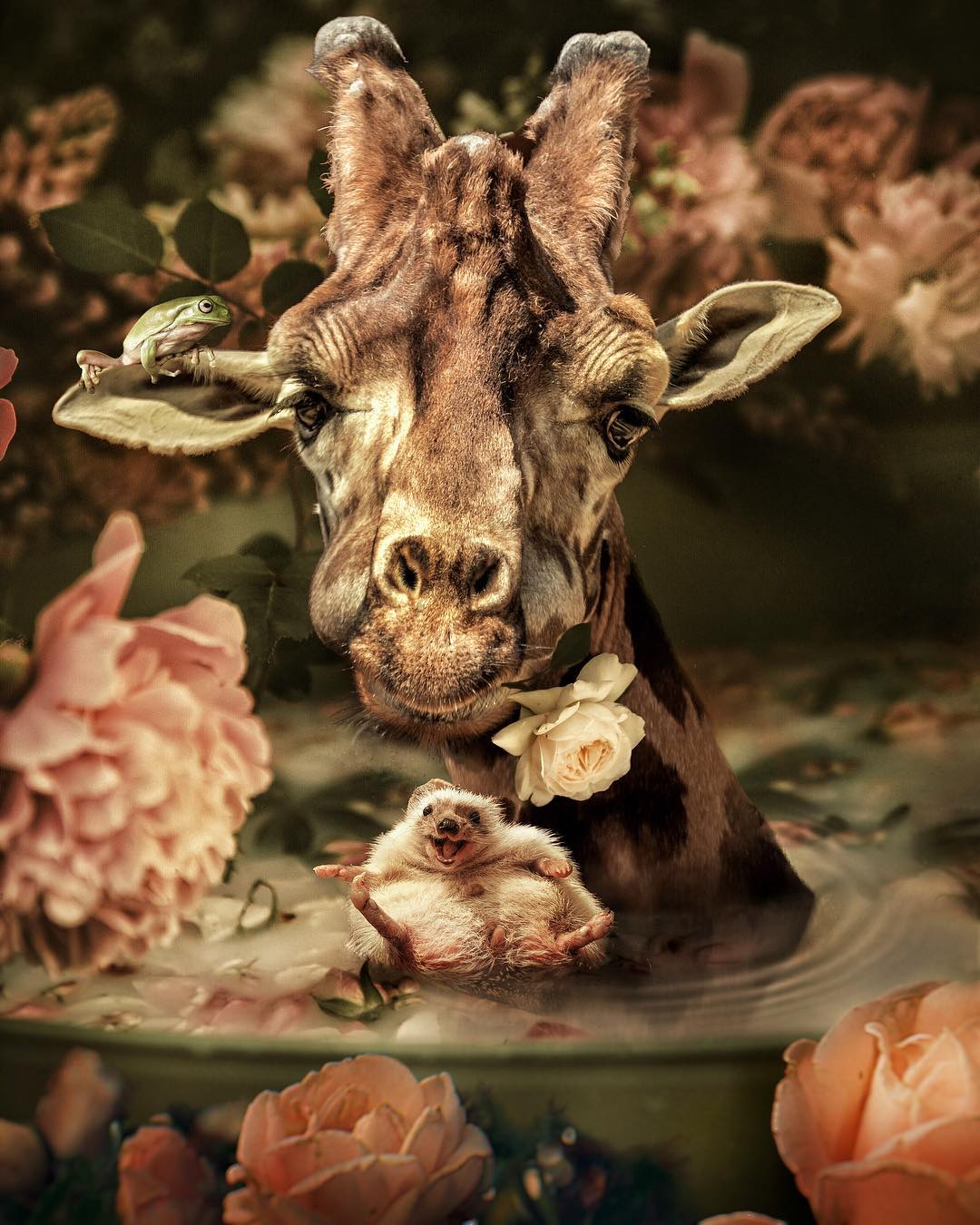 13 Gambar Editan Photoshop Yang Menarik