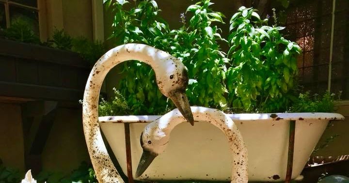 .: Metal Garden Swans .: Metal Garden Swans