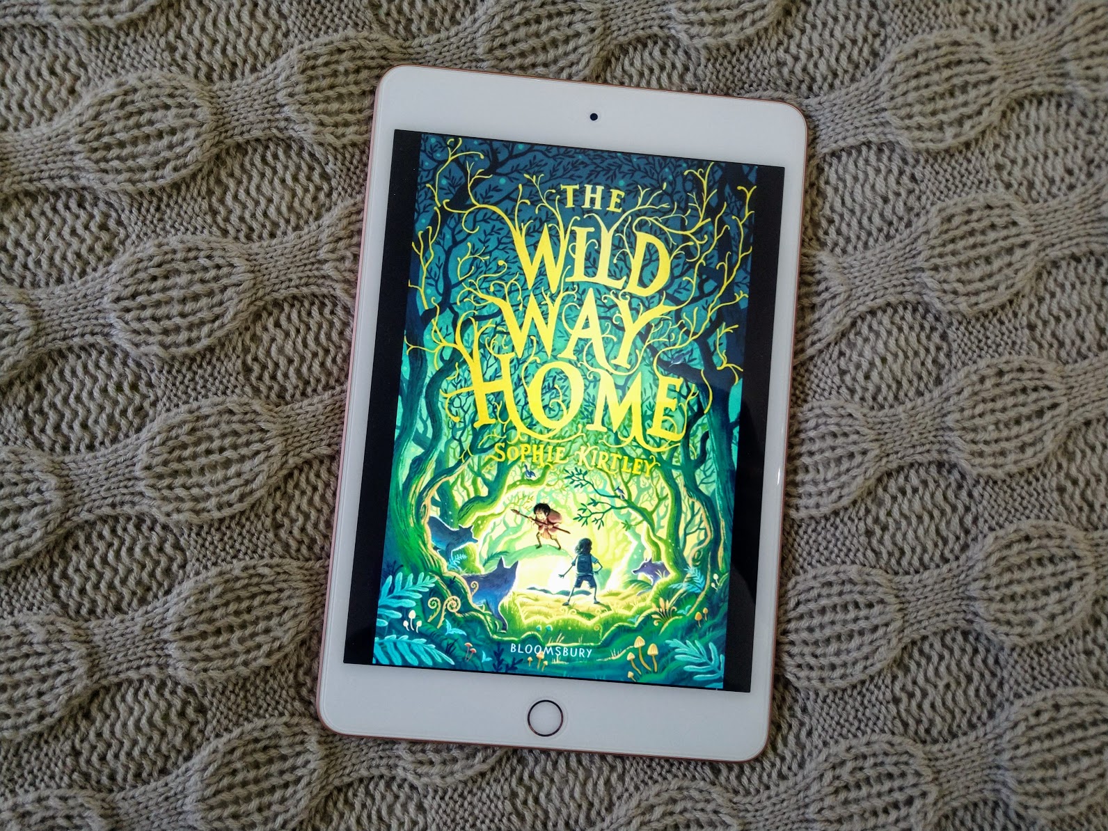 Makebelieve & Manuscripts - Heather Fishwick: The Wild Way Home