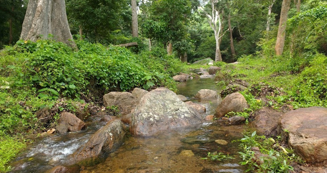 Tamilnadu Tourism: Suruli Falls, Suruli Malai, Theni