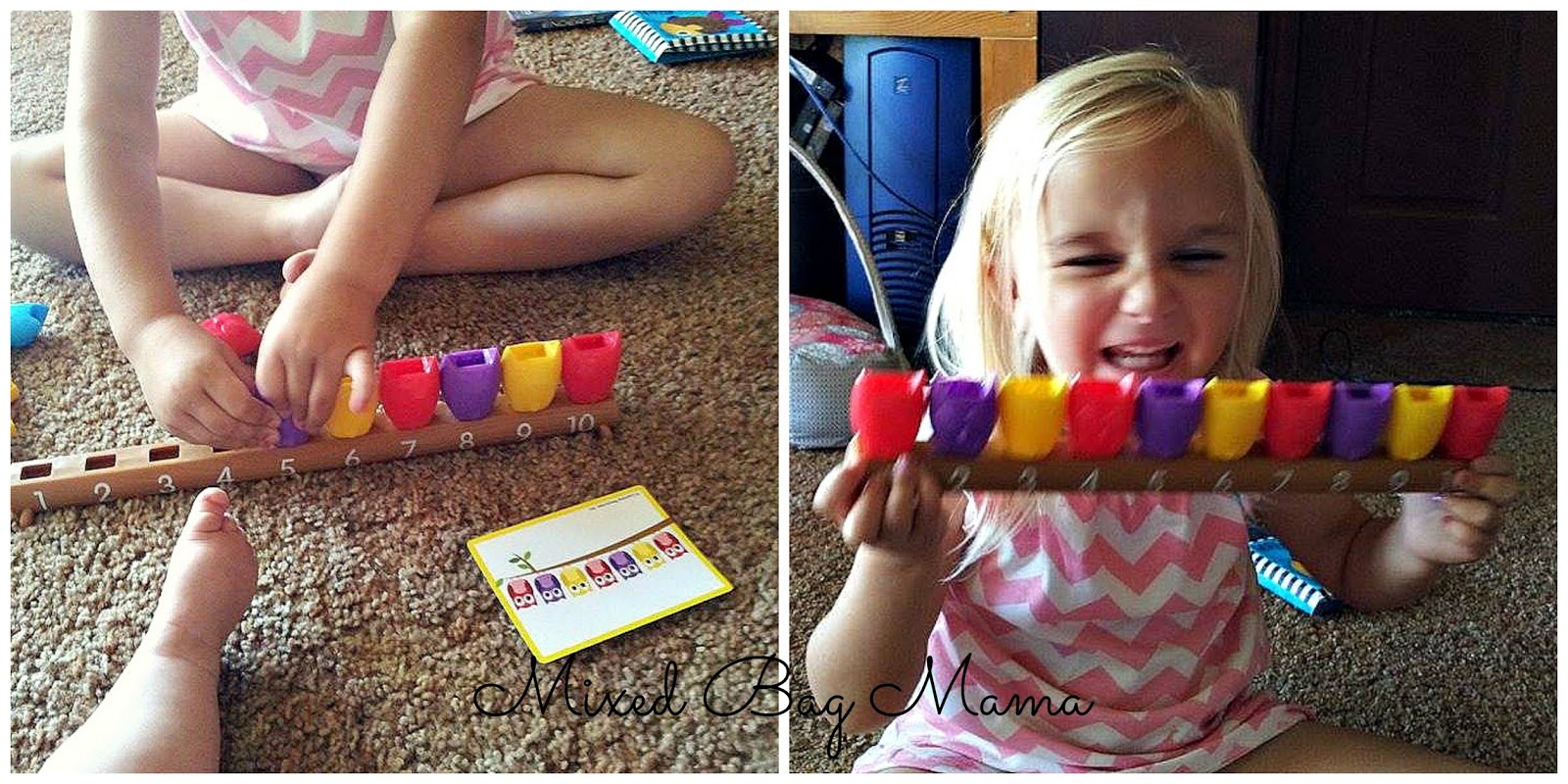 Mixed Bag Mama Make Math Fun With The 1 10 Counting Owls Activity Set mixed-bag-mama-make-math-fun-with-the-1-10-counting-owls-activity-set