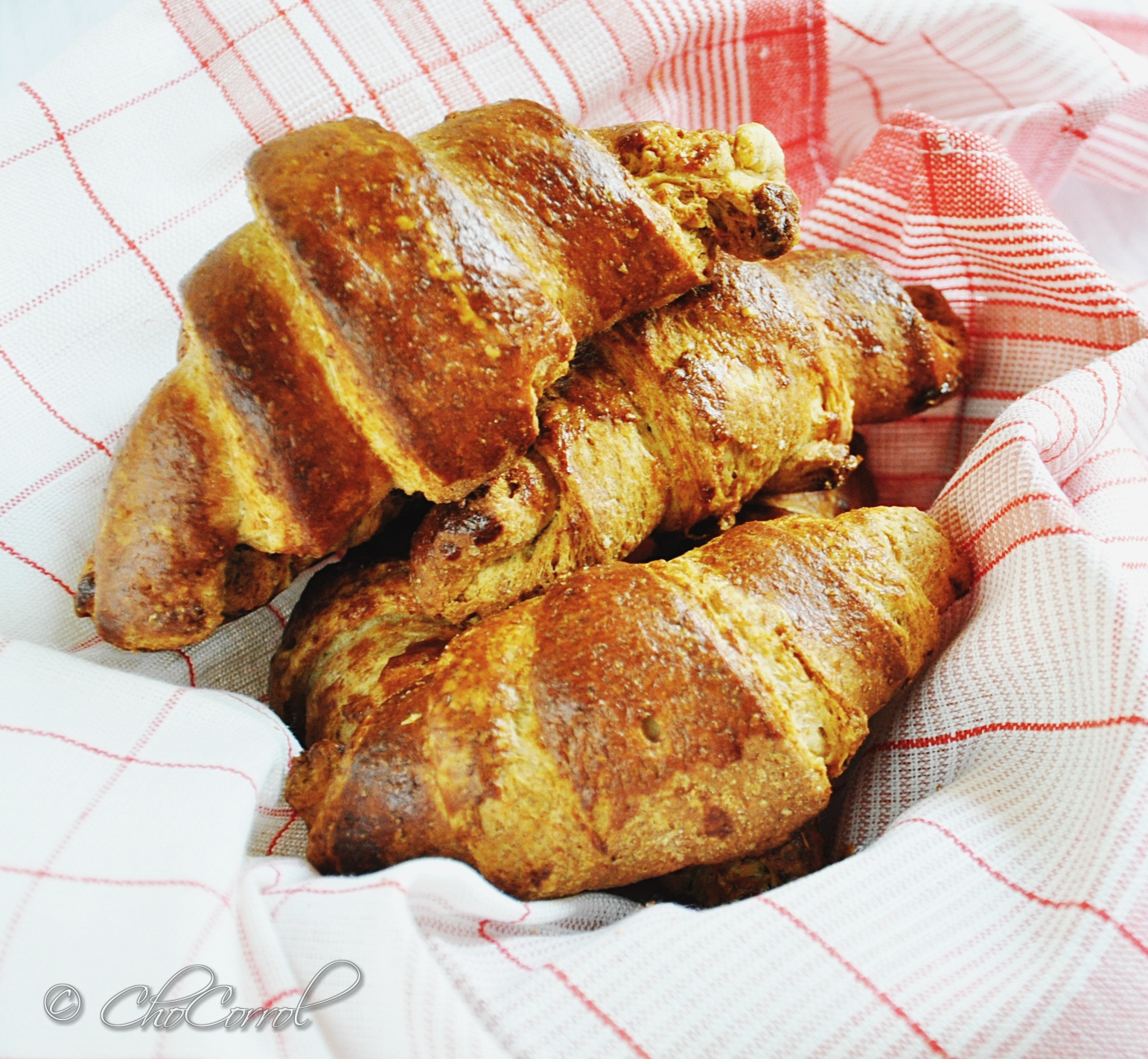 CoLoRes, SaBoRes, oLoRes...CoLoRs, TaSTeS, SmeLLS: cuernitos integrales