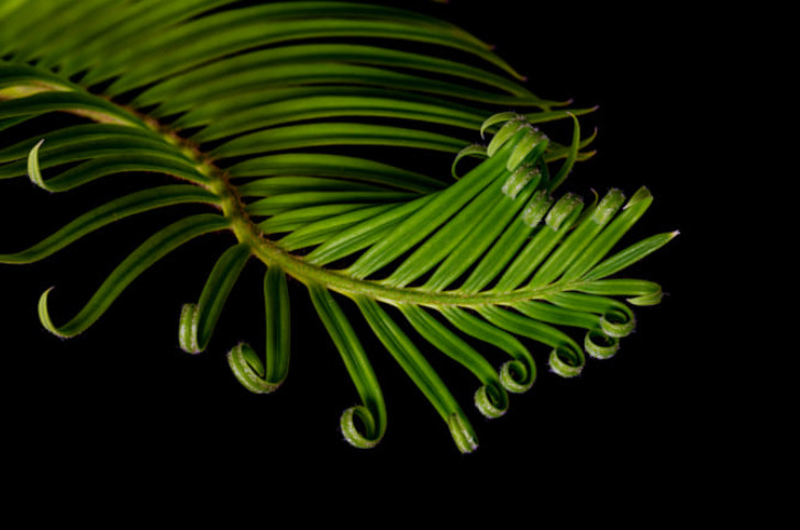 My Life with Functional Neurological Disorder: Vile Weather; Vile Politics