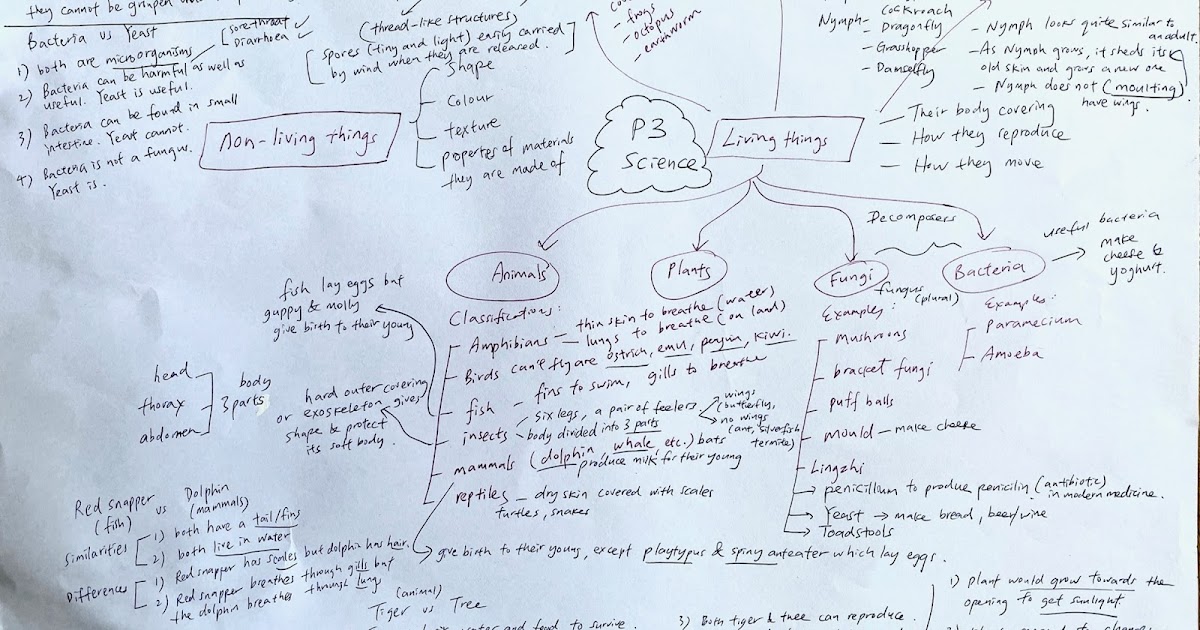 Primary 3 Science (Chapter 1 to 5 )
