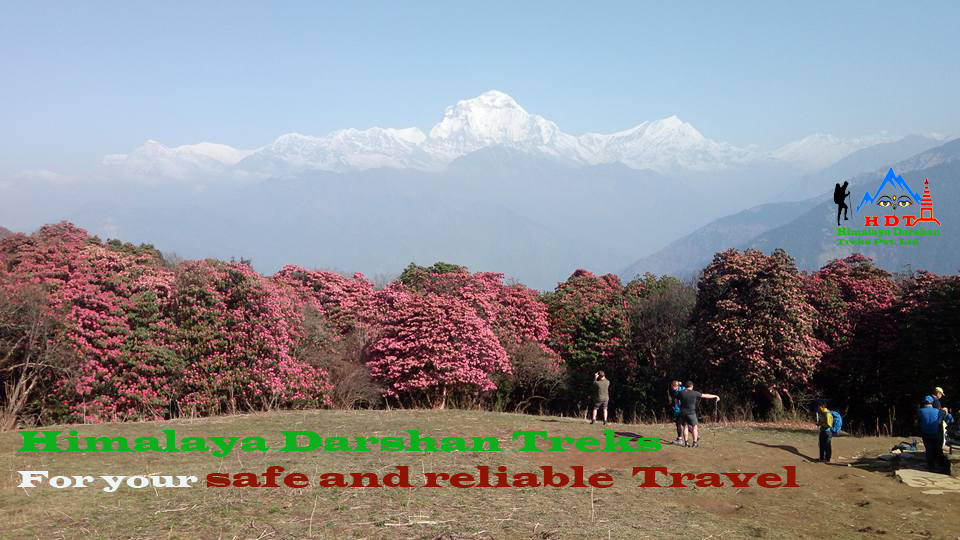 Himalaya Darshan Treks Blog: 2021