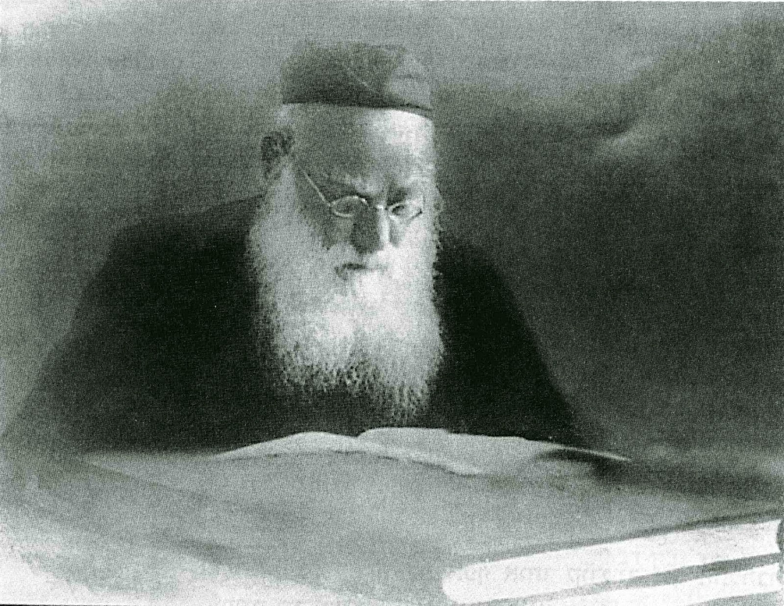 Olive Seedlings - שתילי זיתים: October 2012