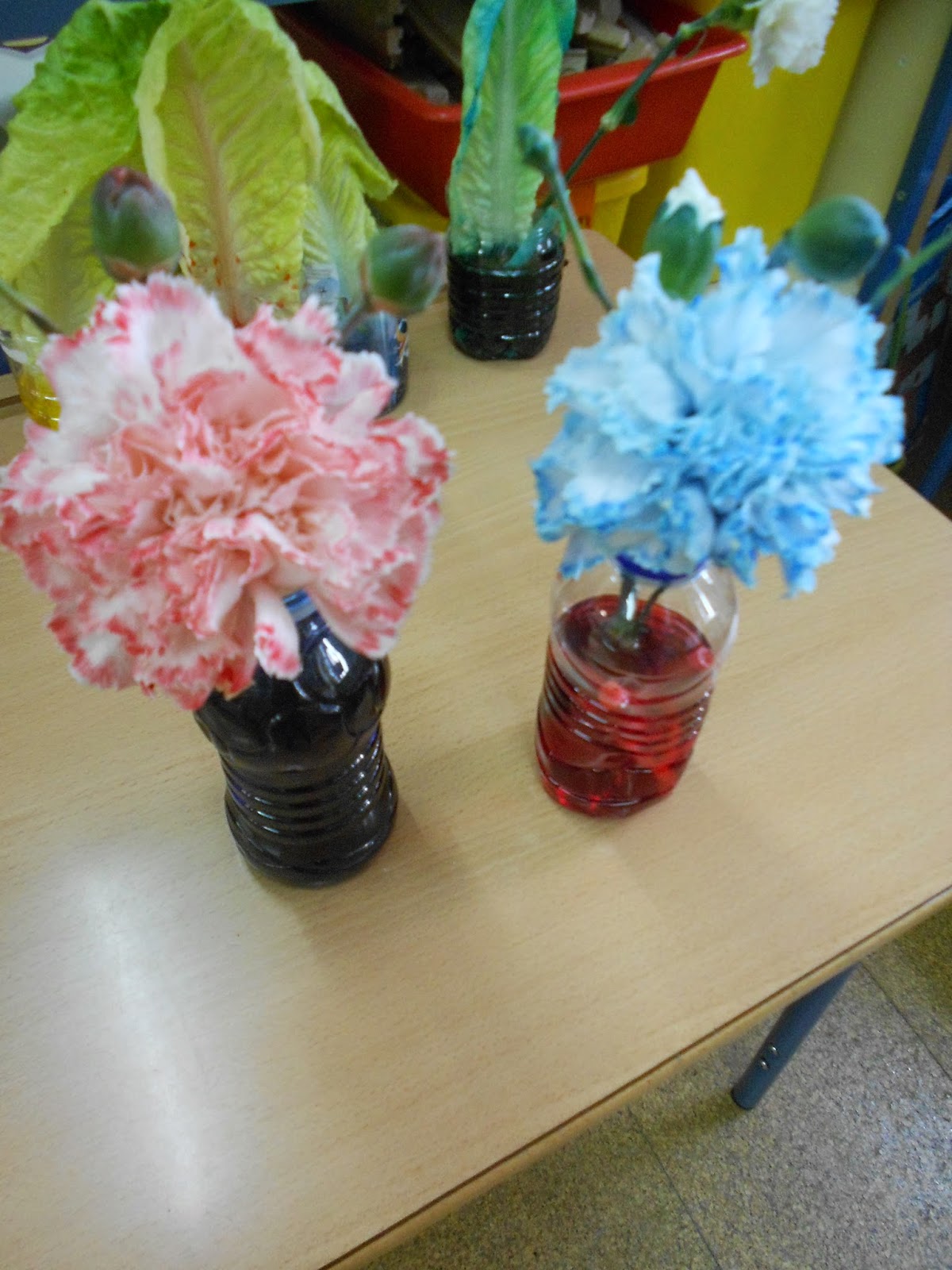 CAMINITOS DE ILUSIÓN: TALLER DE EXPERIMENTOS: PLANTAS Y COLORANTES