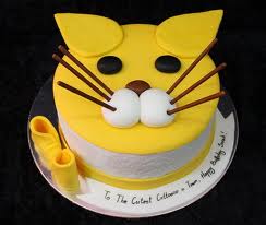 Modele Tort: TORT PISICA