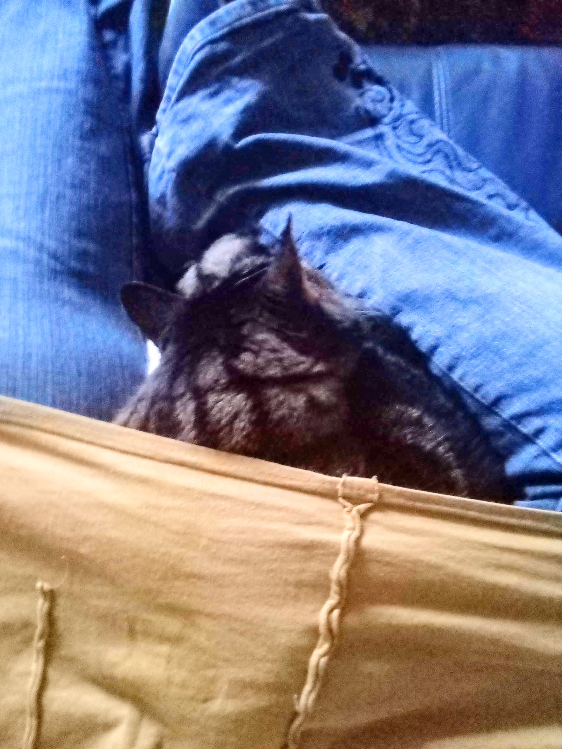 - Vanalleswatjetoe - : Breien en wandelen en een raar beest