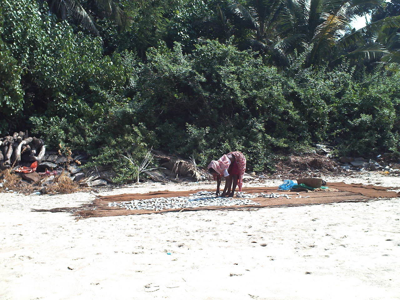 Konkan : God lives here...: DEVBAG BEACH...... 'DEVBAG SANGAM'.....