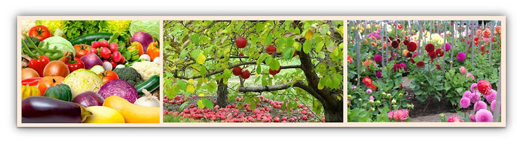 Jo-at-Home: Dadelvingers