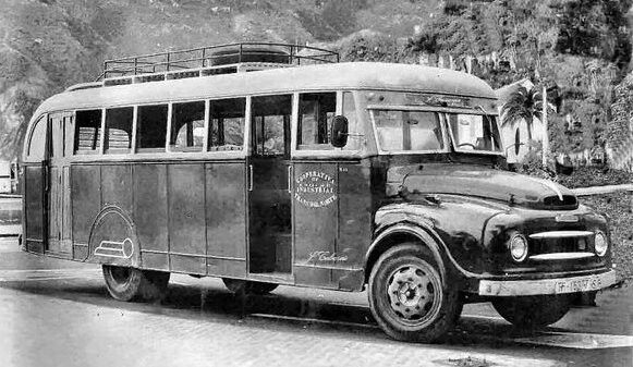 Blog de una jubilada: Justicia para las guaguas