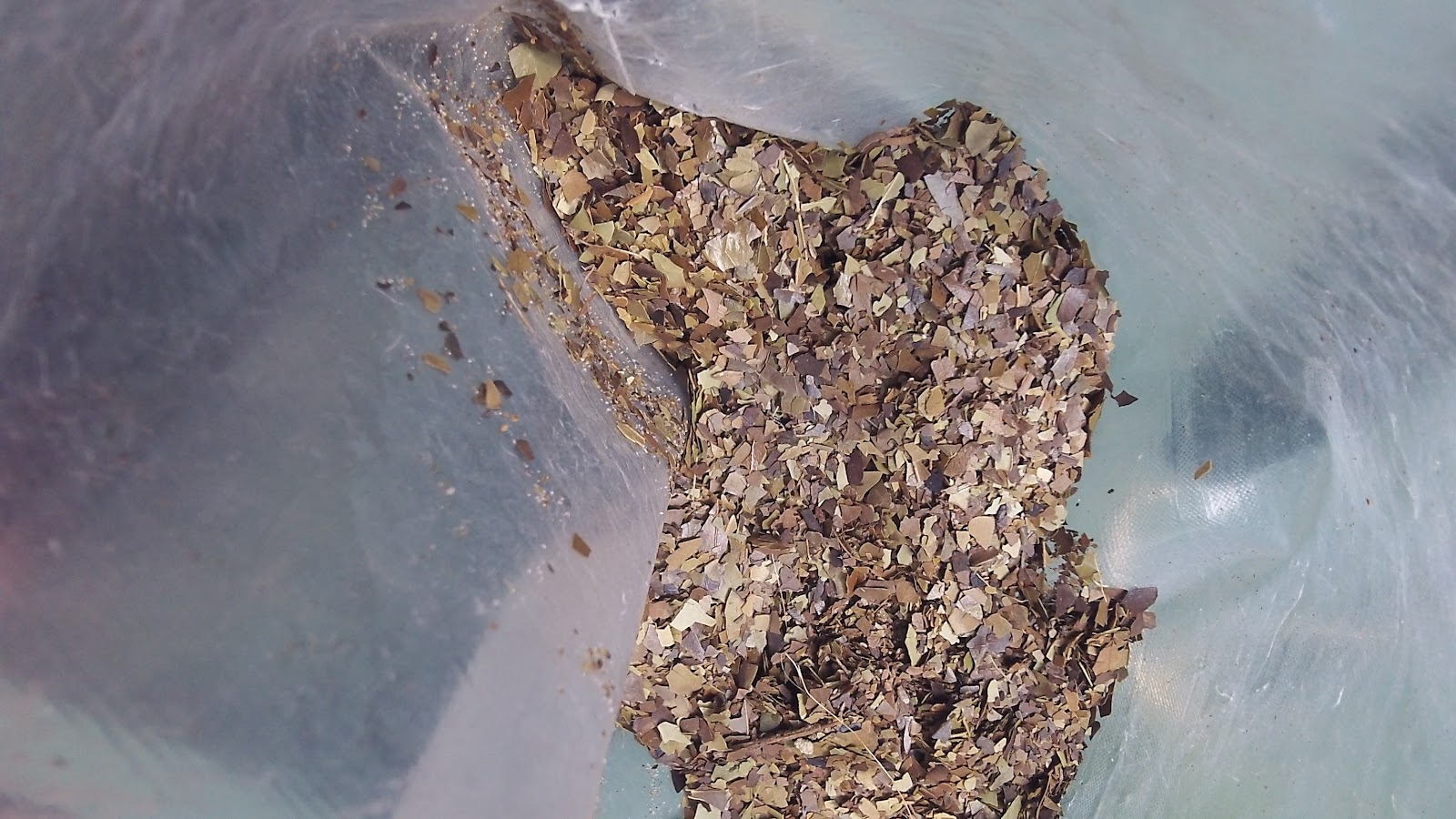 "What Is It???" Wednesday: Ecofact Edition