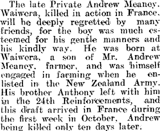 100 NZ World War One Memorials 1914-2014: Private Andrew William Meaney ...