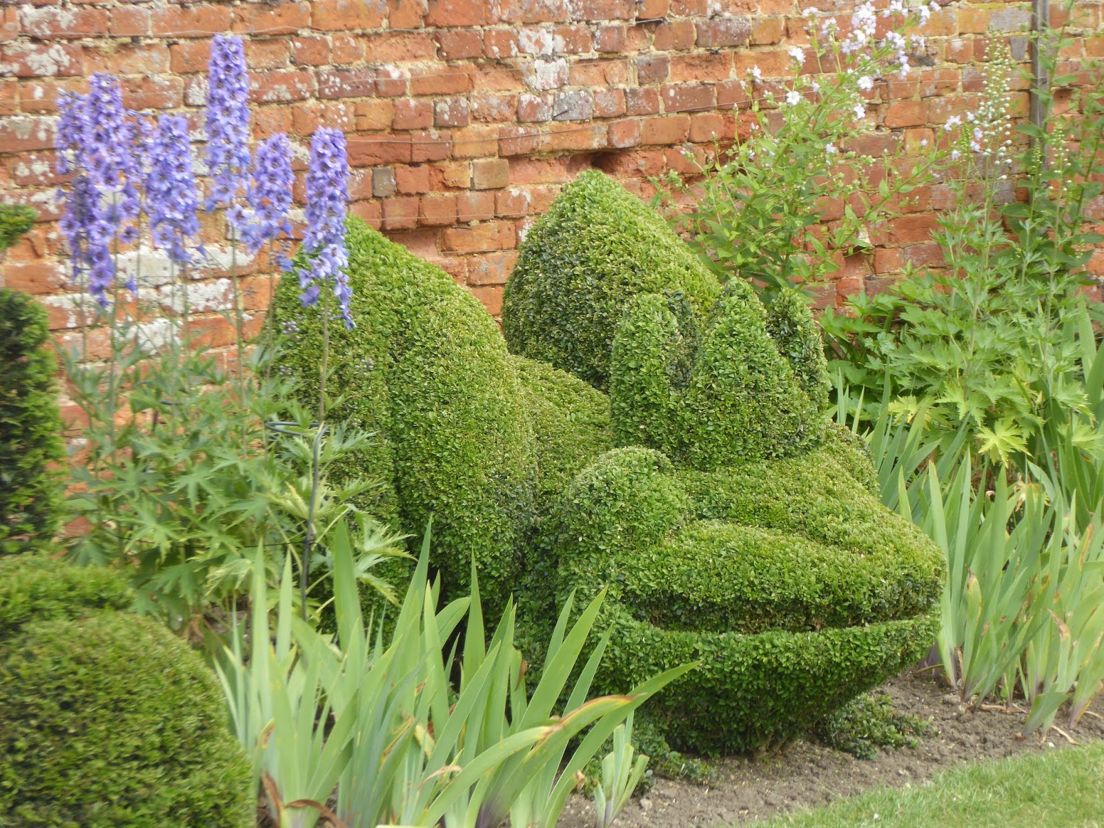 Wild and Wonderful: Insects in the Grounds of Helmingham Hall