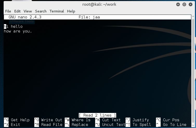 Netcat Tool: 5 most common usage with examples