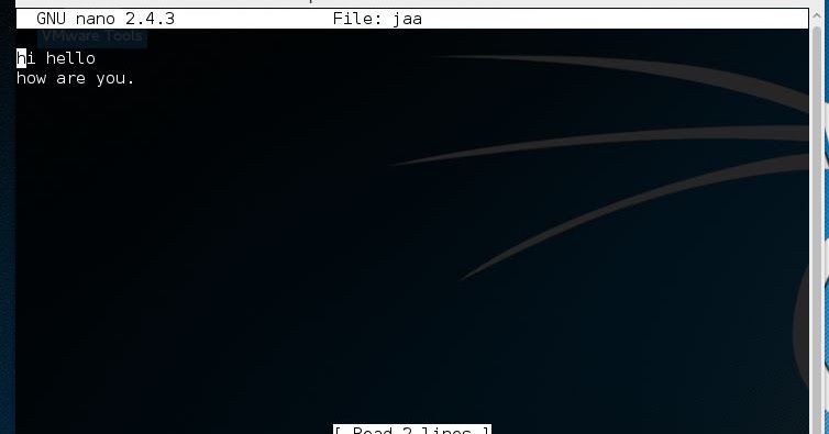 Netcat Tool: 5 most common usage with examples
