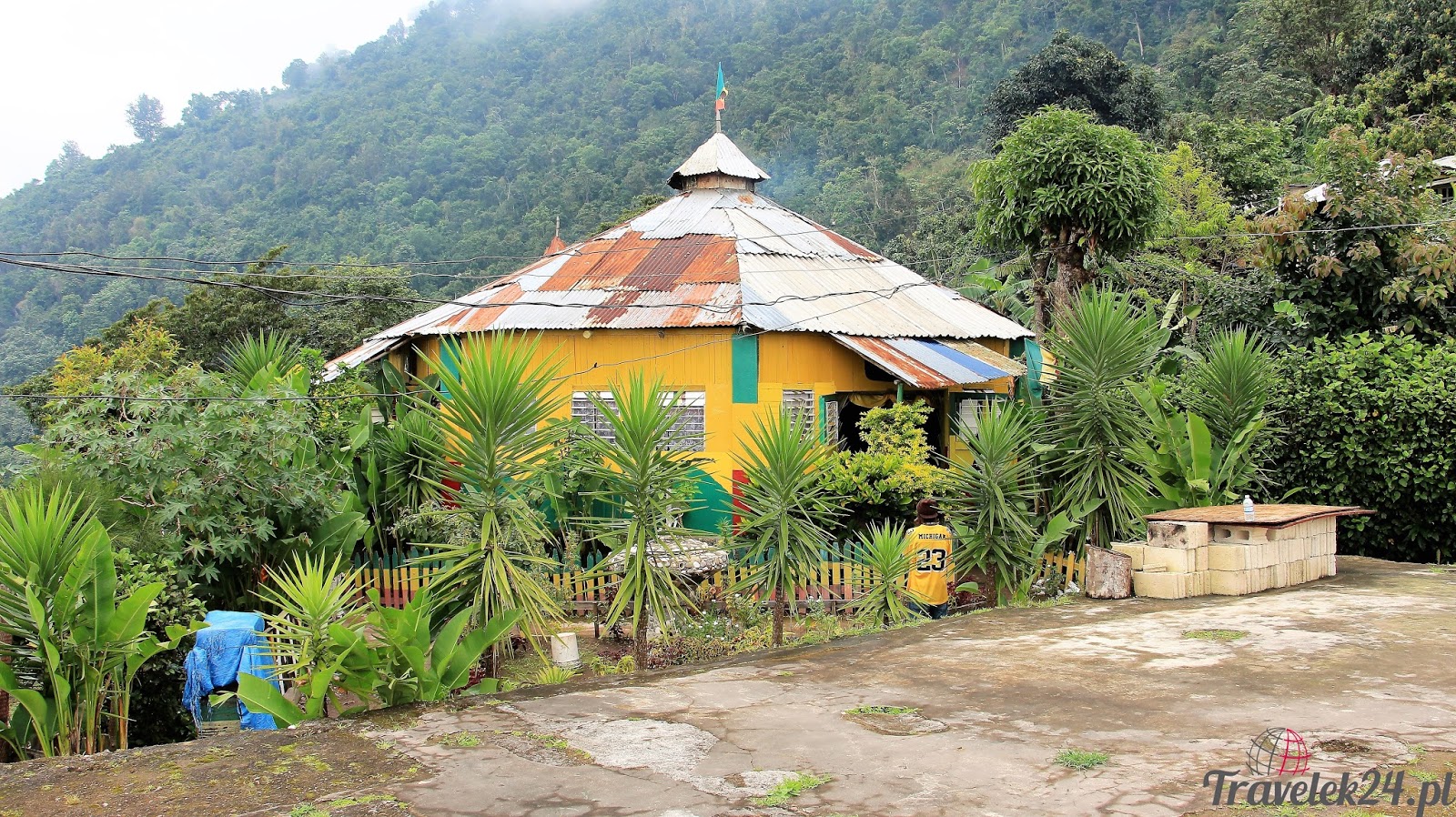 Rasta Camp w Górach Błękitnych na Jamajce