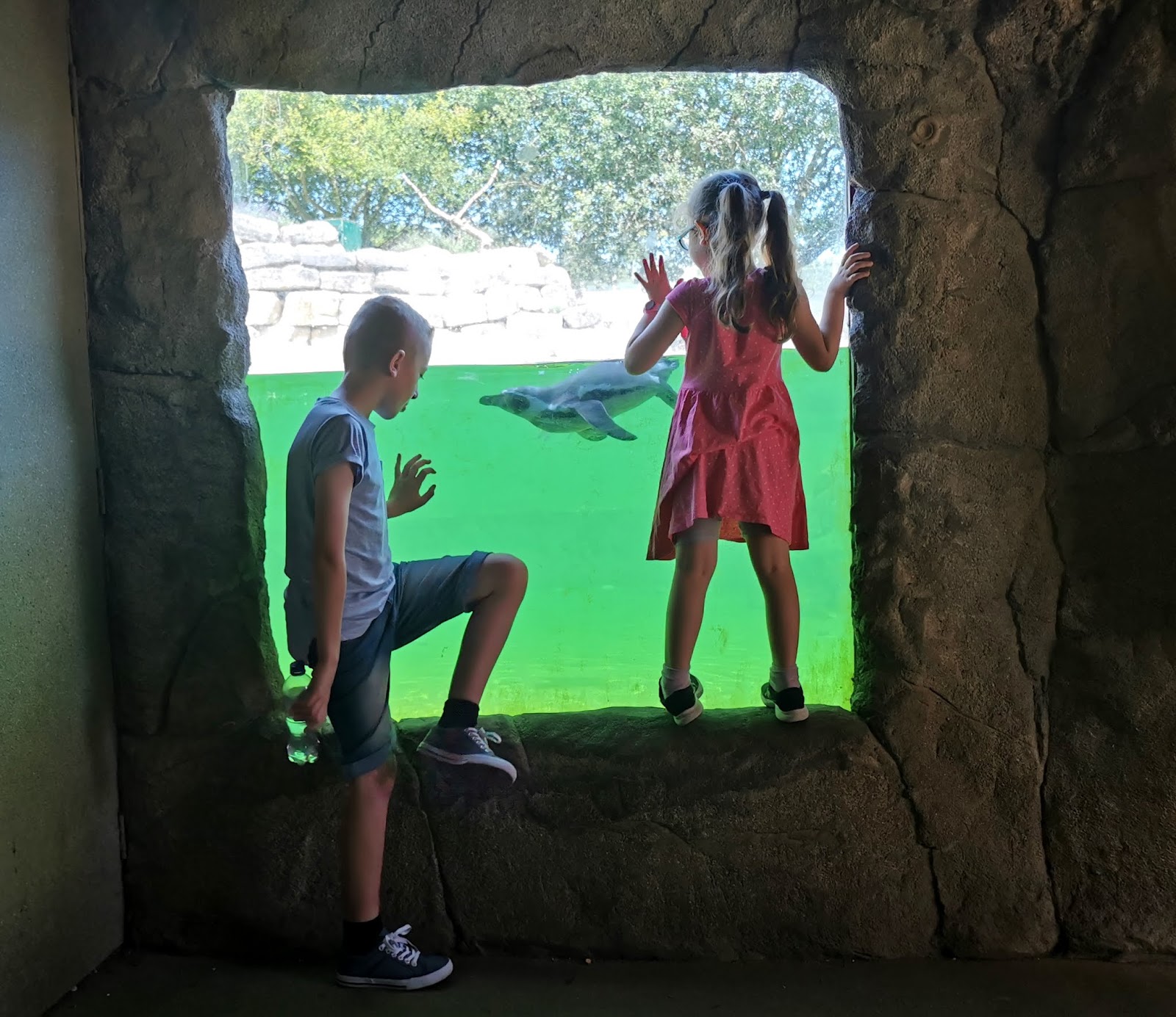 Tantrums To Smiles: Marwell Zoo - A Fantastic Day Out for the Whole Family