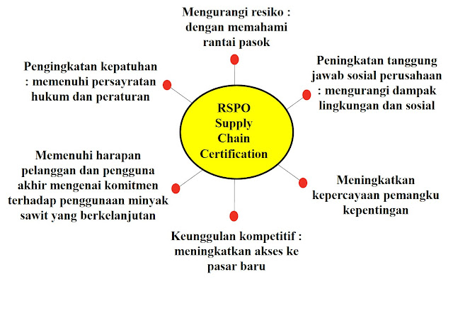 Media Sustainability Kelapa Sawit: Latar Belakang, Sejarah dan Konsep ...