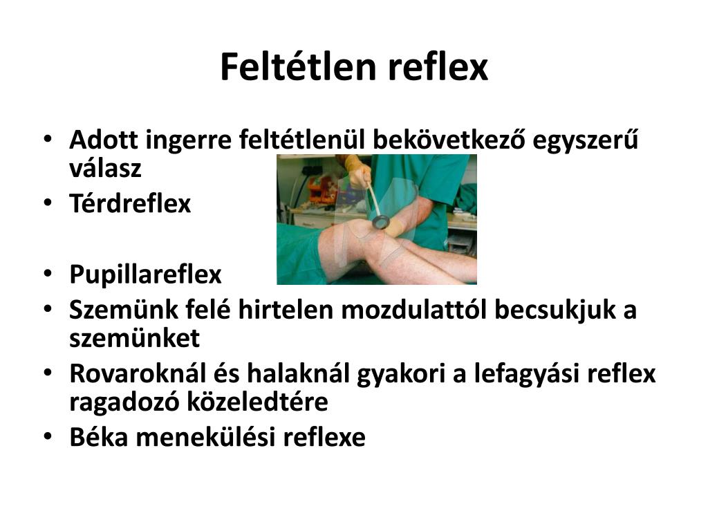 8.b osztály: Biológia