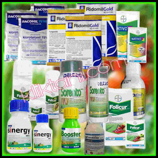 Pengertian dan Perbedaan Antara Insektisida Sistemik dan Kontak ...