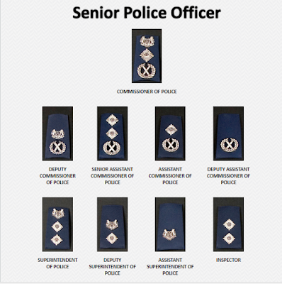 Yuan Ching NPCC: SPF Rank Structure and Insignia