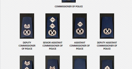 Yuan Ching NPCC: SPF Rank Structure and Insignia