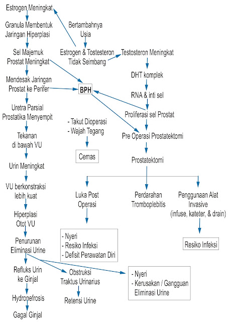 Askep Benigna Prostat Hiperplasia (BPH) Terlengkap - Share Your Information