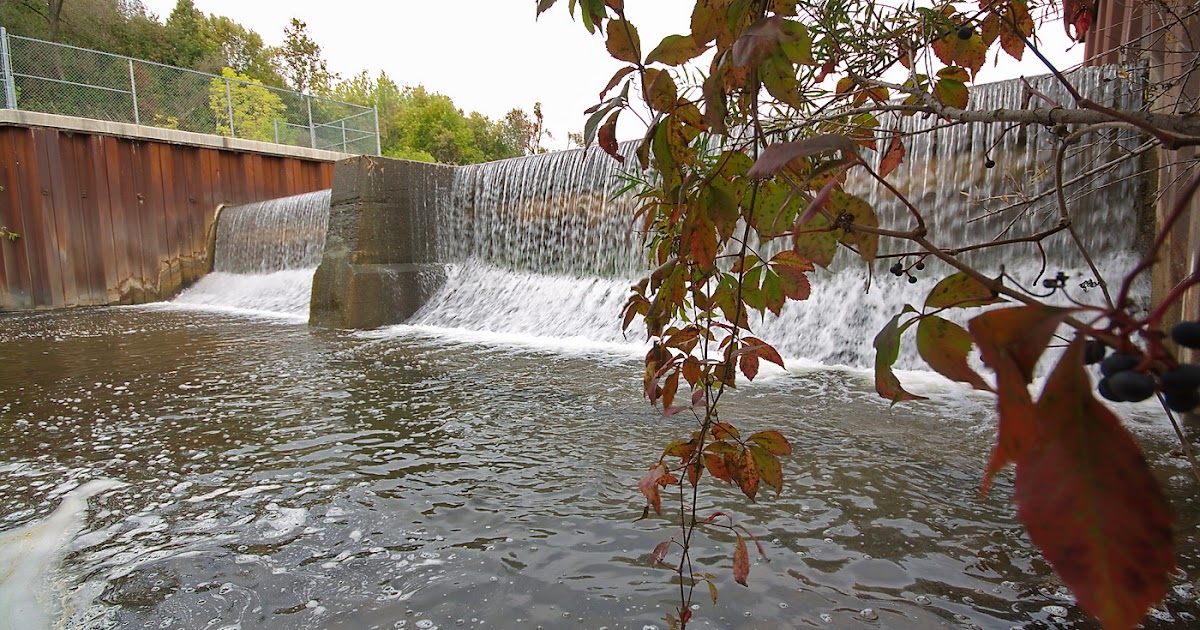 Eye Candy: Whitevale Dam