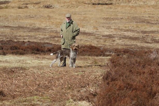 The Heather Trust: Heather management: burning and cutting