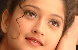 Laila Tamil Actress|Tamil Movie Actress Laila - South Indian Actress ...