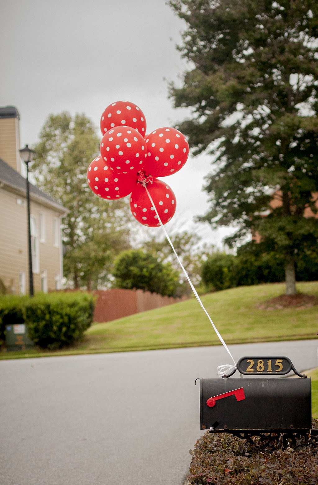 Bowden Life 101: Brooks Turns One!