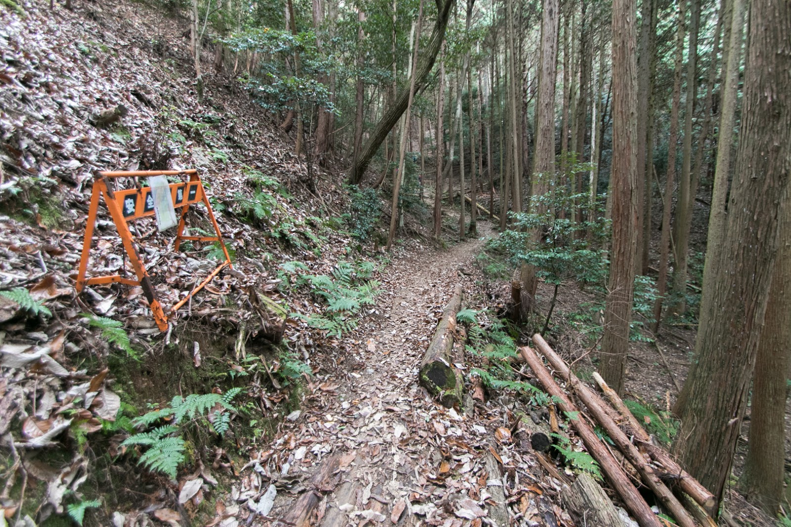 Kuroi Castle -Castle of red devil of Tanba province- | Japan Castle ...