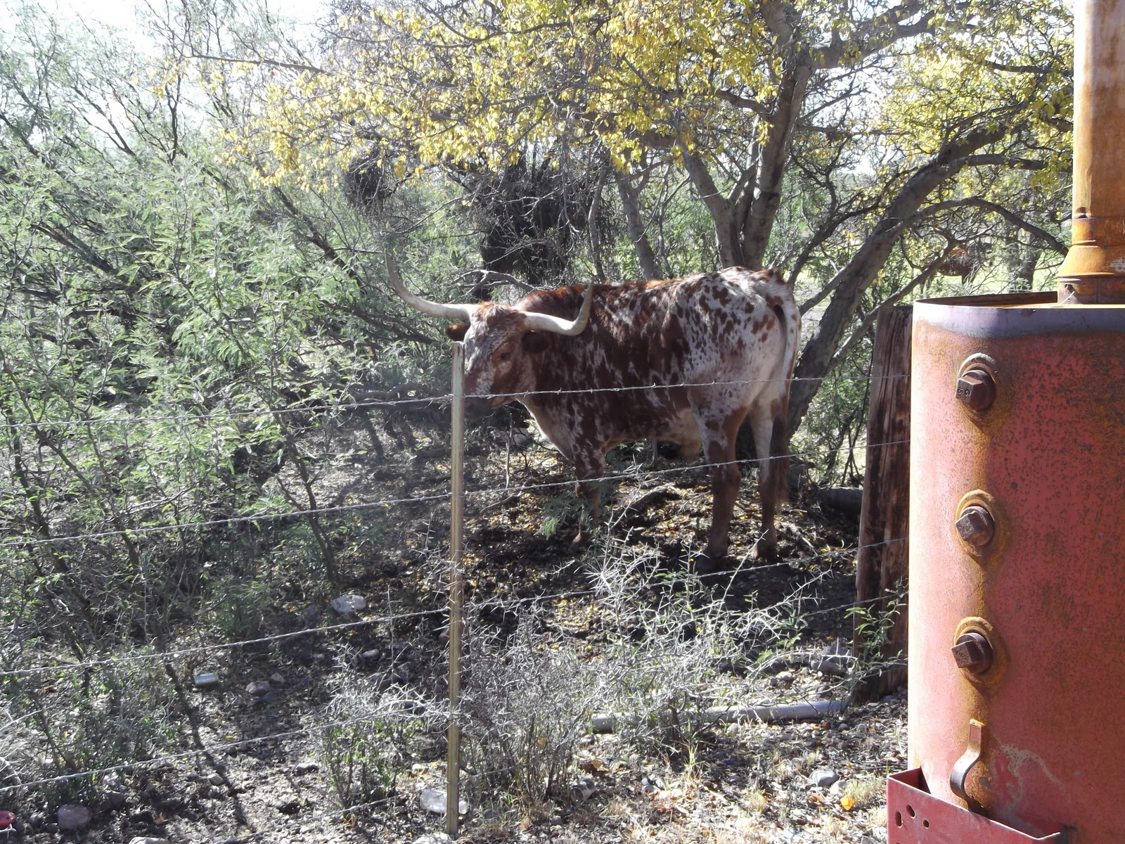 Road Trip: Slaughter Ranch