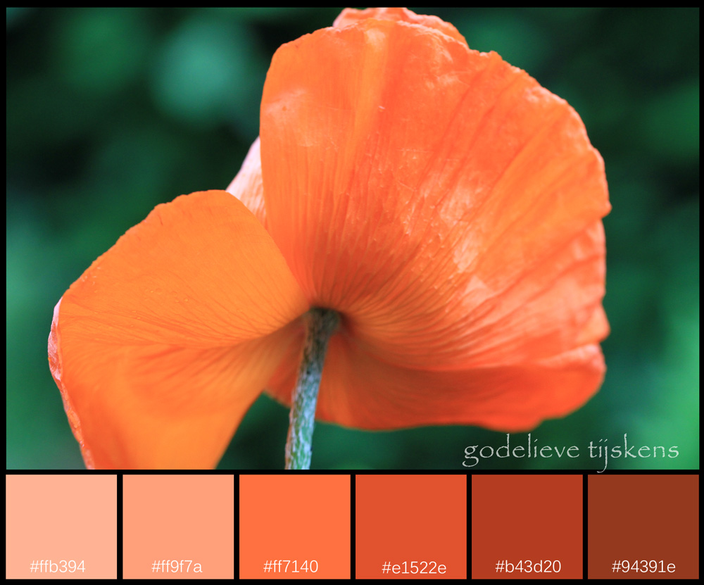 StampingMathilda: Poppy Colors