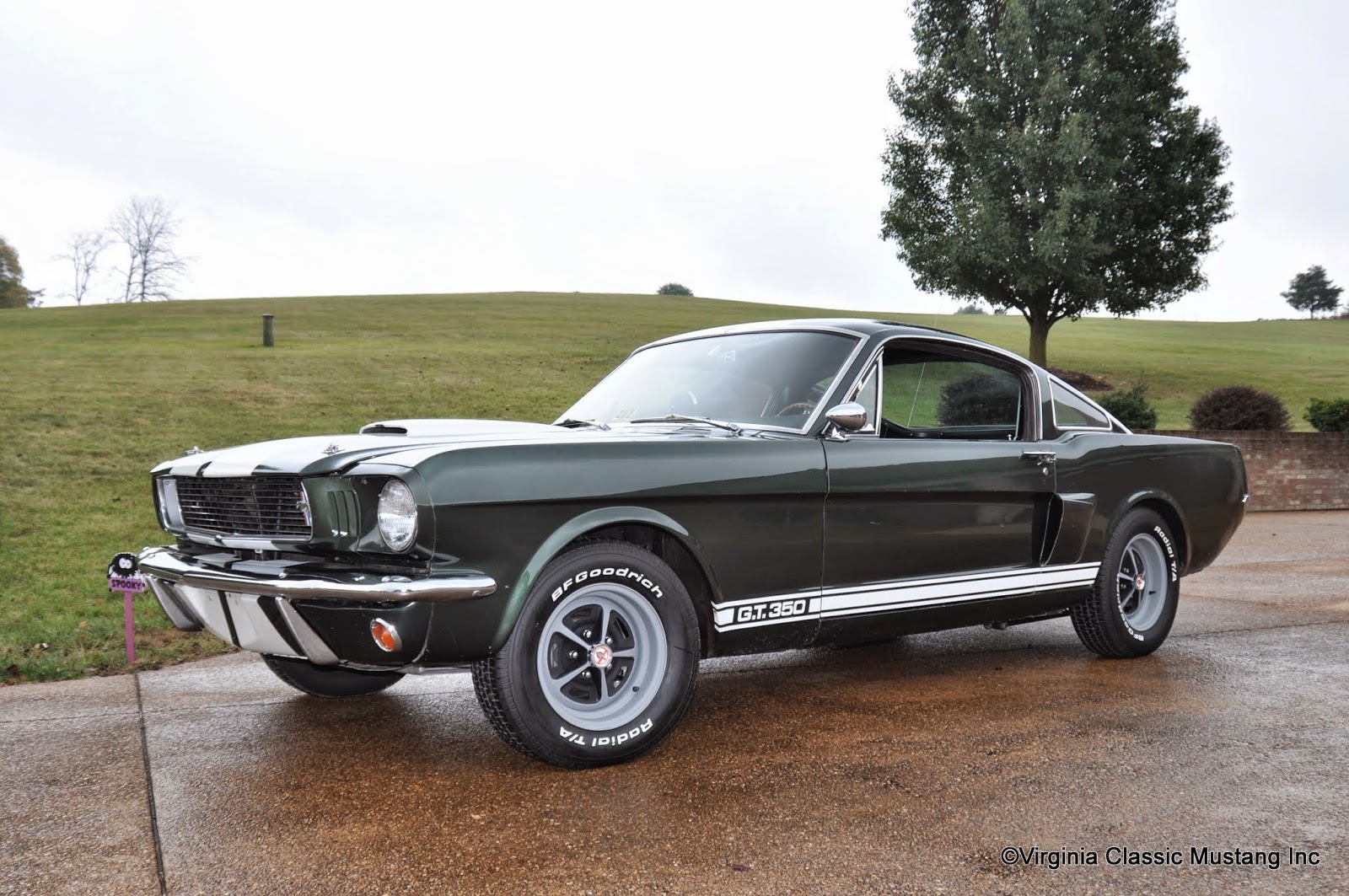 Virginia Classic Mustang Blog: Just the Details...1966 GT350 Shelby Mustang